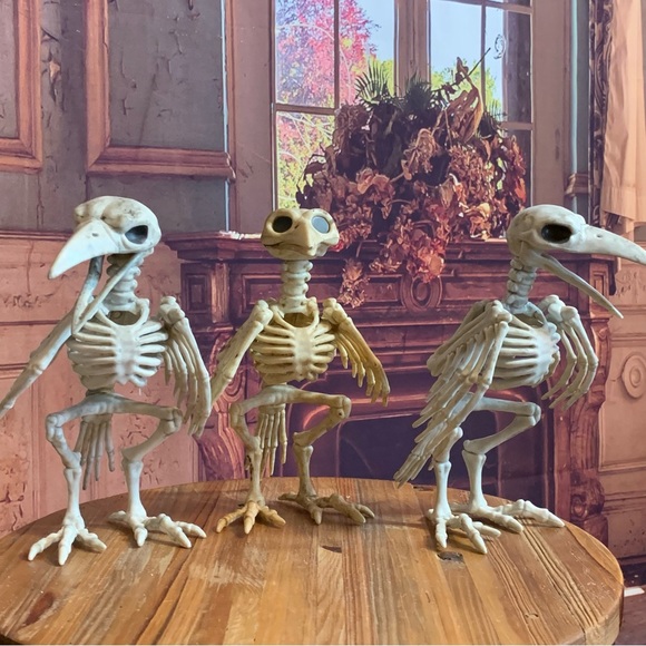 Halloween | Holiday | Skeleton Birds Wings Beak Halloween Decor White ...